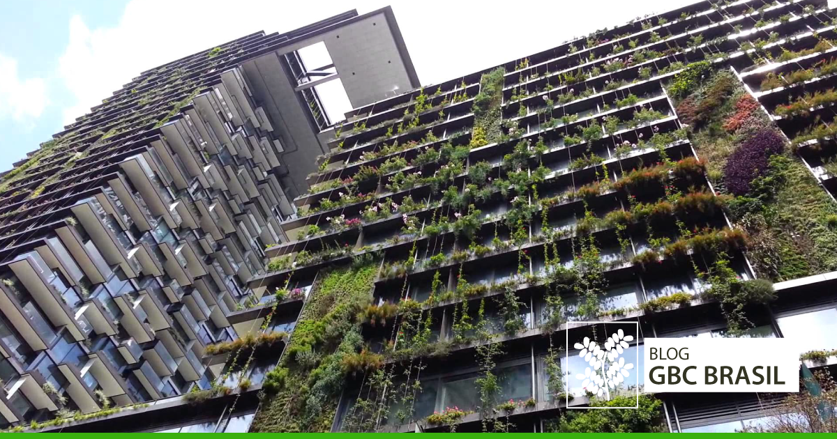 O passo a passo do edifício sustentável - David Douek - GBC Brasil